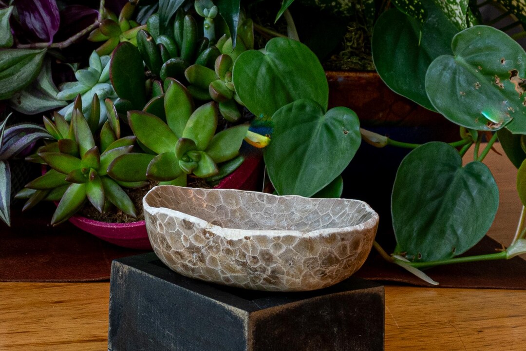 Petoskey Stoneware Small Stone Bowl, Jewelry Dish, Home Decor - Etsy