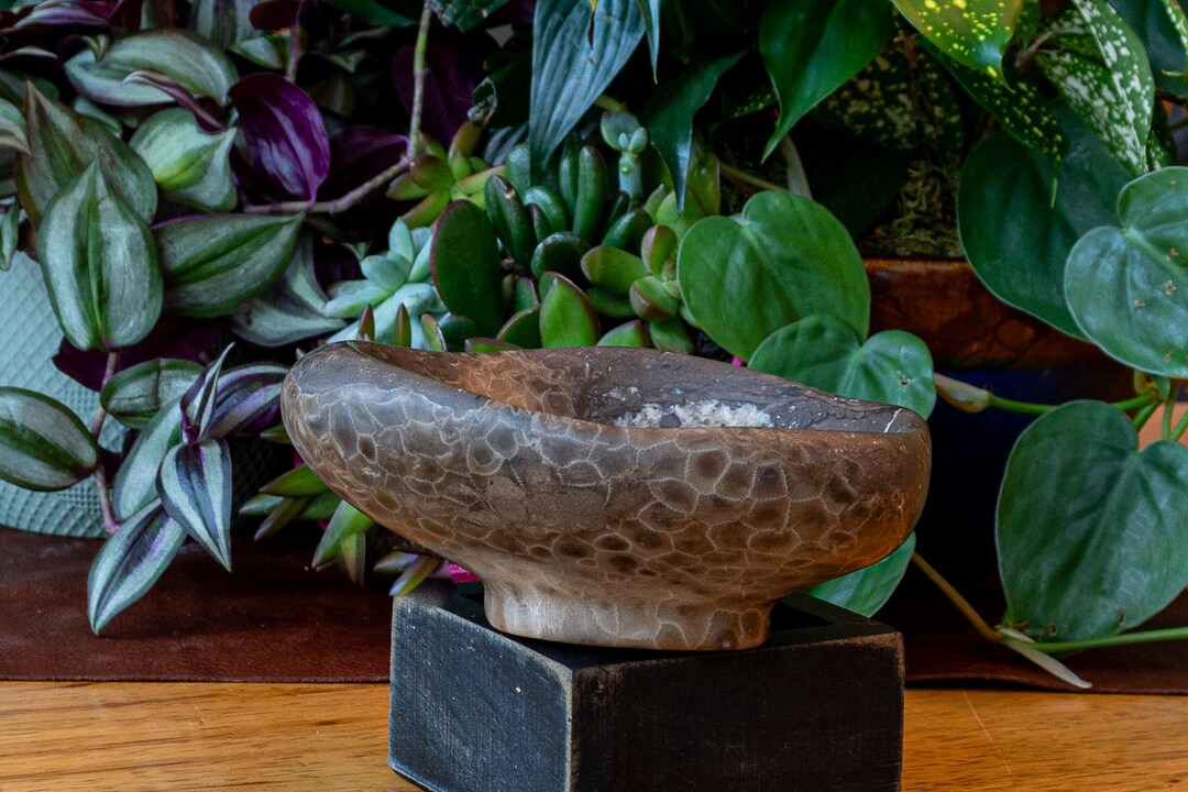 Petoskey Fossil Bowl - Stone Bowl, Jewelry Dish, Artisan Home Decor - Etsy