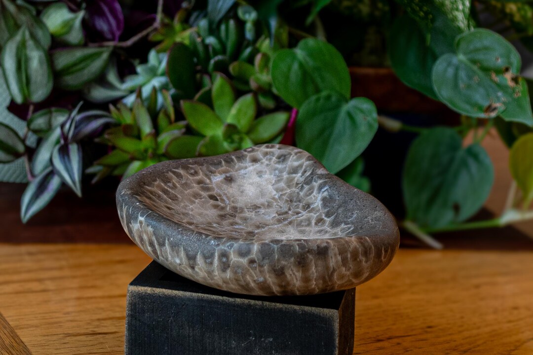 Petoskey Fossil Bowl - Stone Bowl, Jewelry Dish, Artisan Home Decor - Etsy