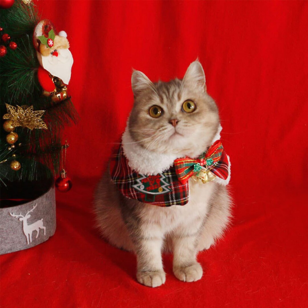 Cat Outfit Christmas Cozy Cat Cloak Cat Lover Christmas Gift Cat ...