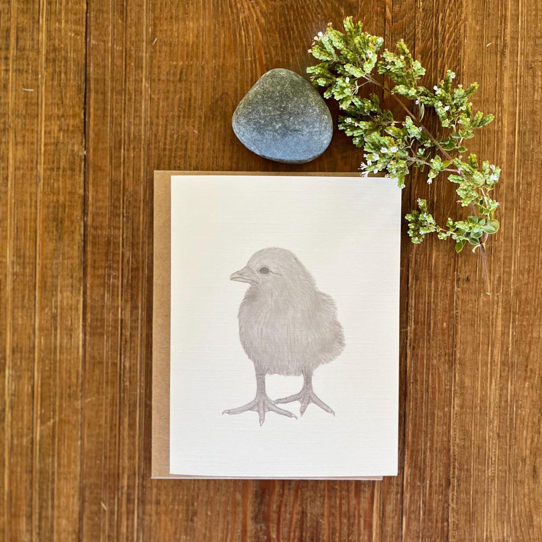 Chick Card- Animal Card, Pencil Art, Chicken, Farm, Bird Animal ...