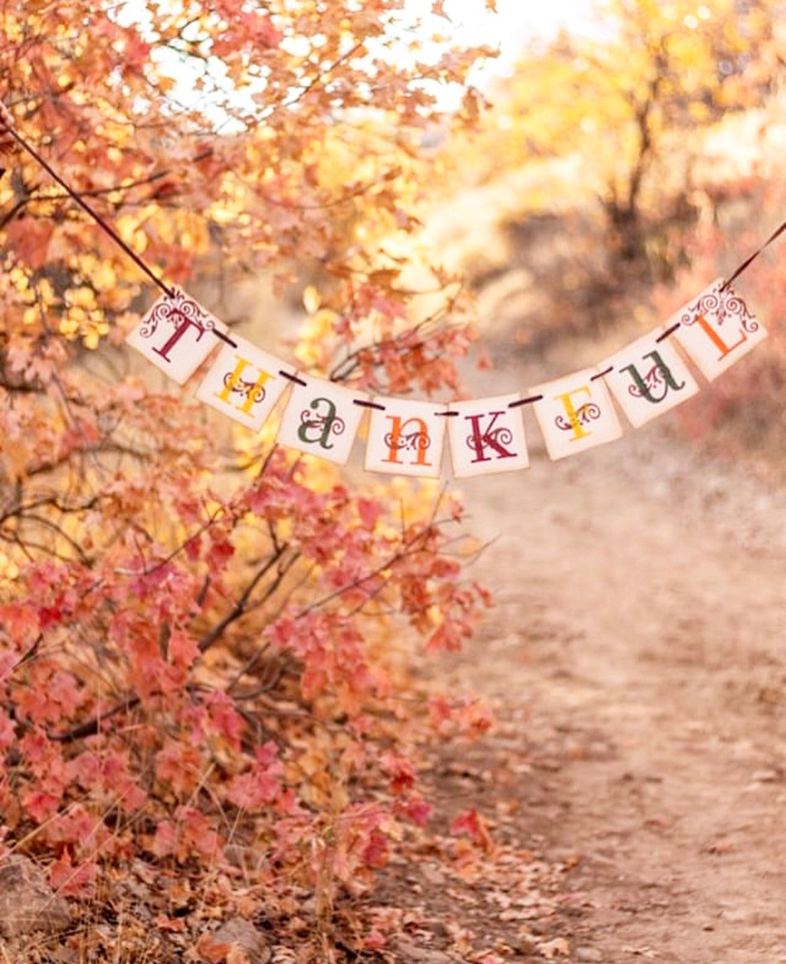 Thanksgiving Decoration THANKFUL Fall Banner Hostess Gift - Etsy