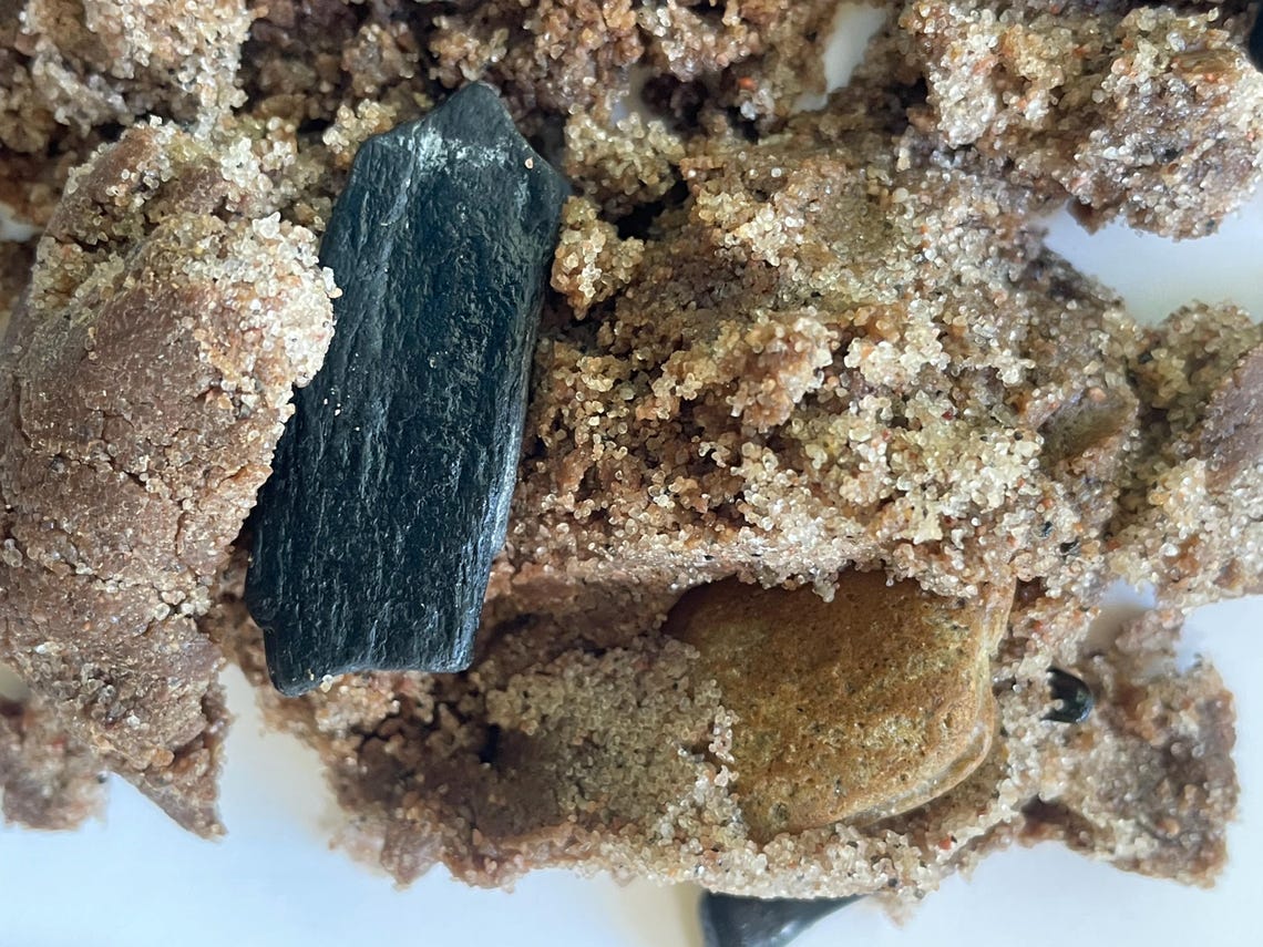 Fossil Dig Kit (atlantic Ocean) - Etsy