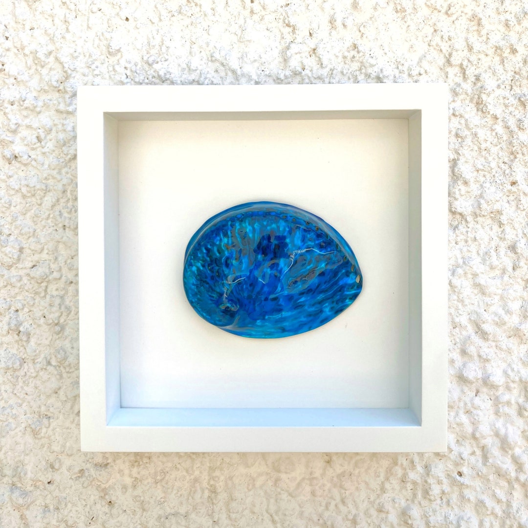 Seashell Blue Abalone Wall Decor - Etsy