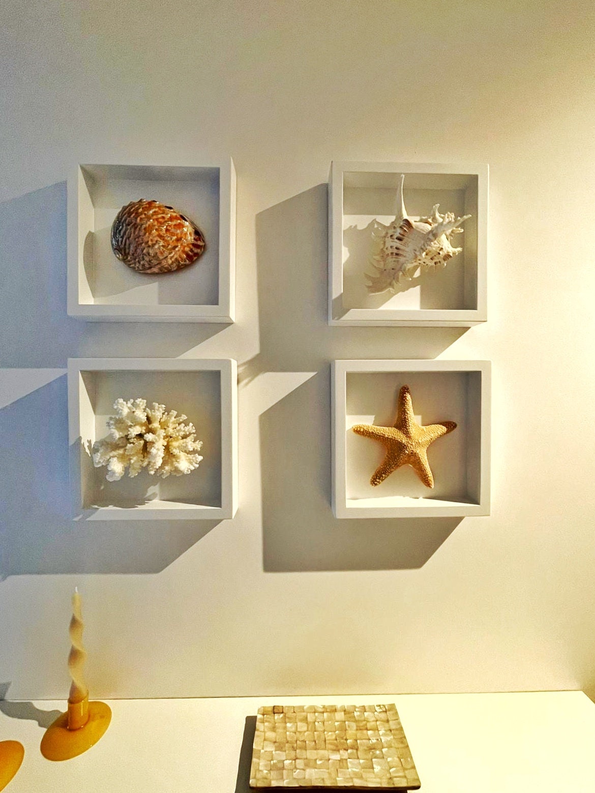 Seashell Mother of Pearl Abalone Wall Decor - Etsy