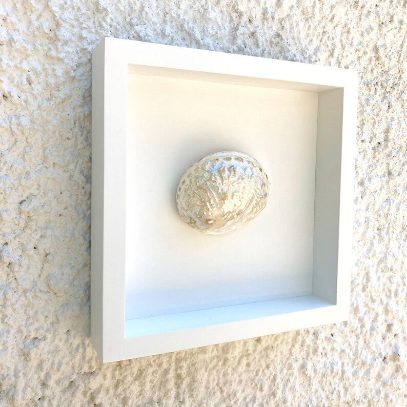 Seashell Mother of Pearl Abalone Wall Decor - Etsy