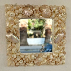 Seashell Wall Mirror - Etsy