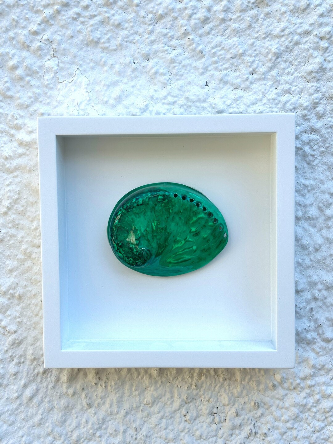Green Abalone Seashell Wall Decor - Etsy
