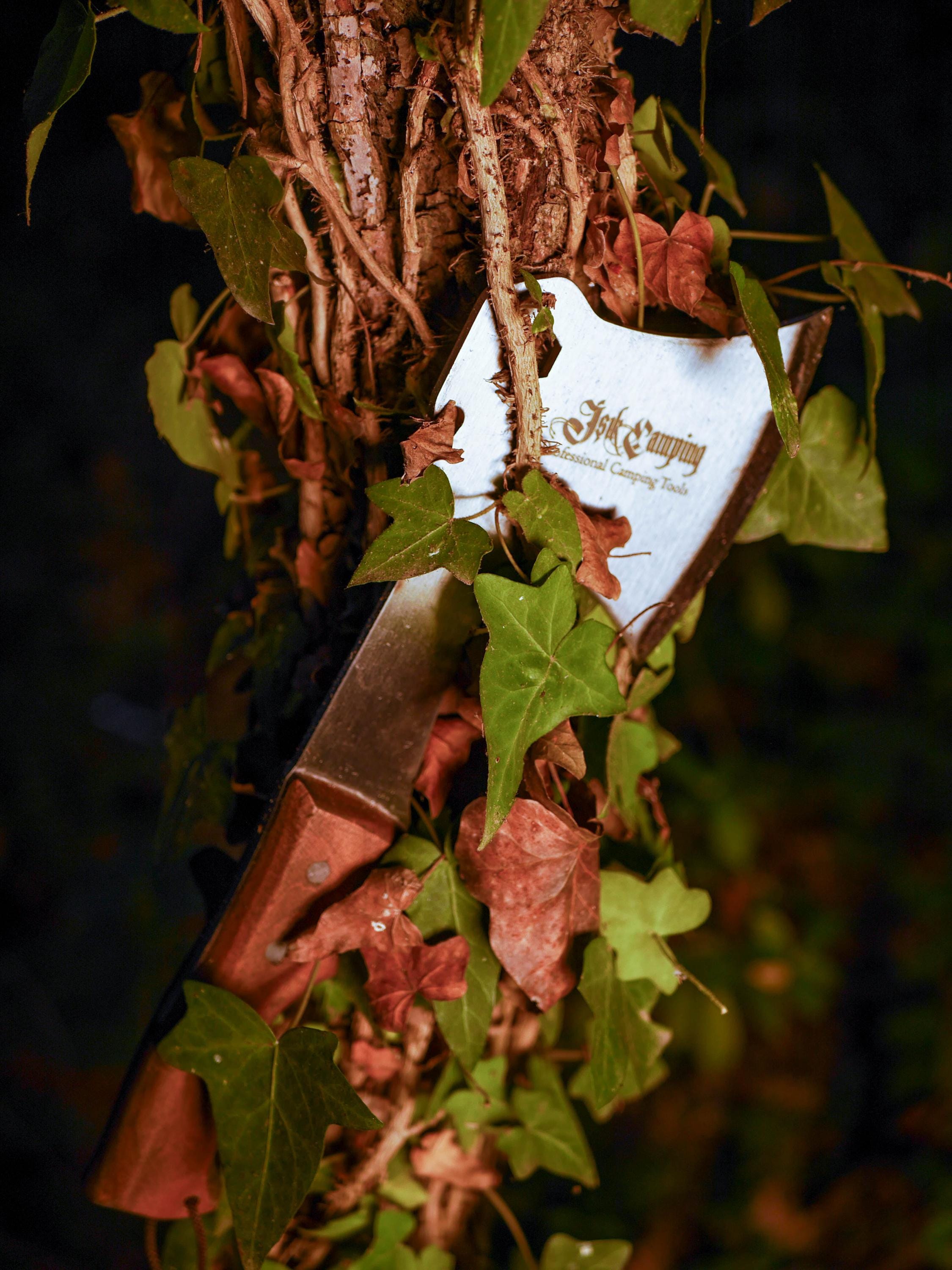 Handcrafted Wolf Engraved Camping Axe, Custom Wood Handle Hatchet ...