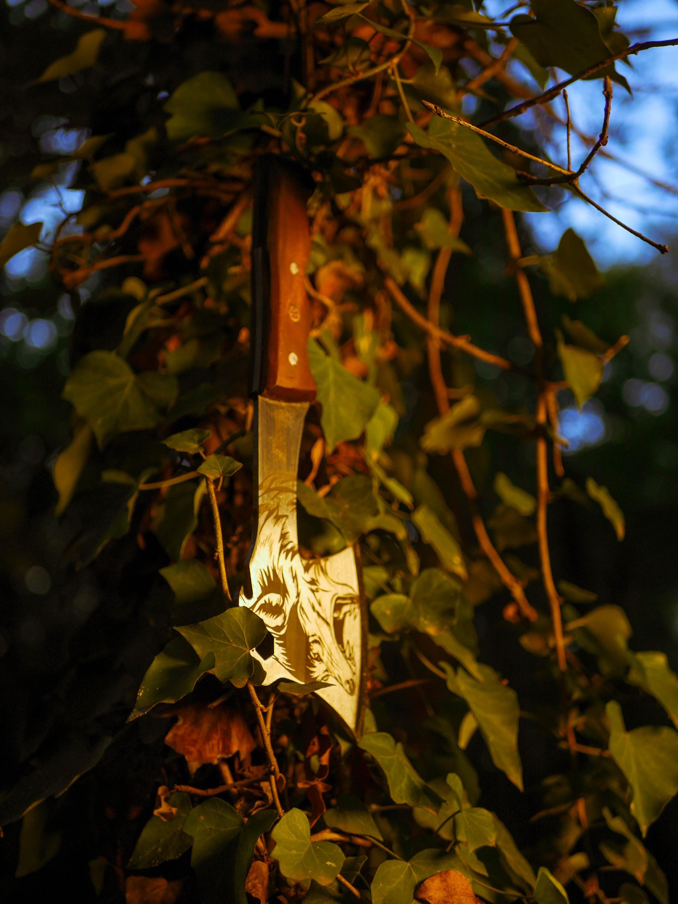 Handcrafted Wolf Engraved Camping Axe, Custom Wood Handle Hatchet ...