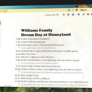 Made-for-you Disneyland Itinerary - Etsy