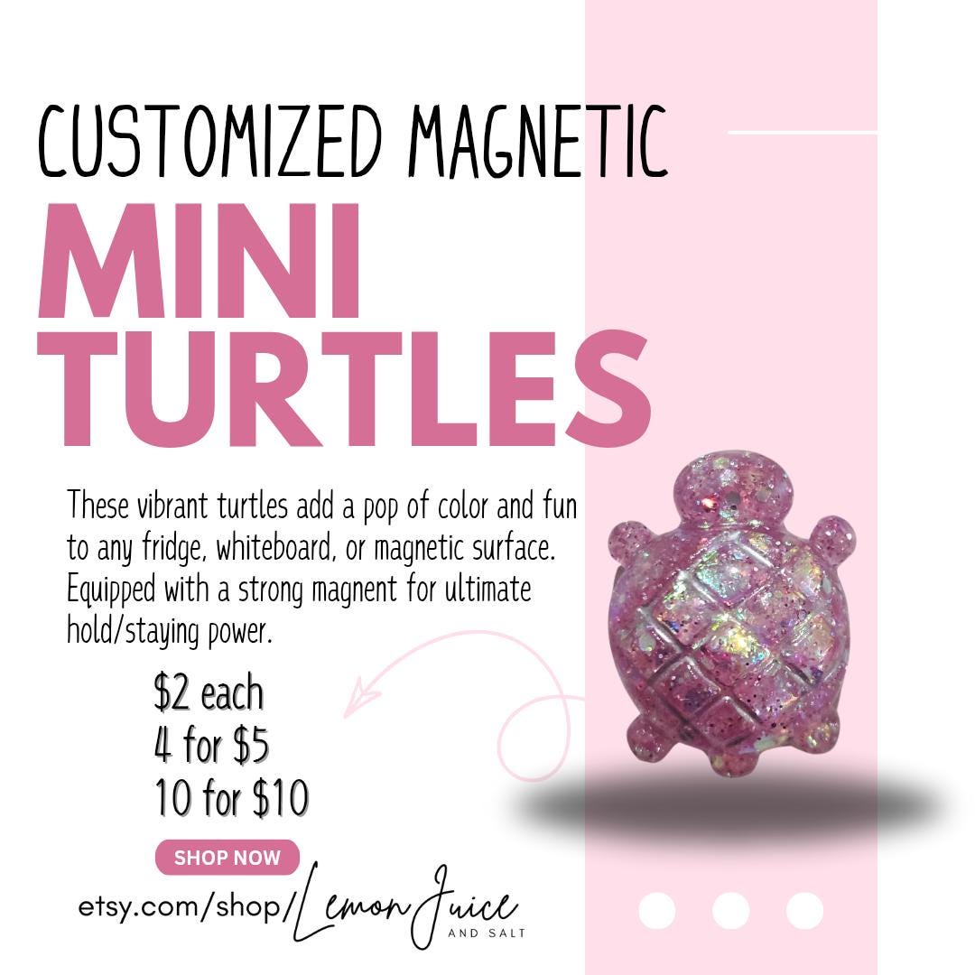 Mini Turtle Magnets: 4 Pack - Etsy
