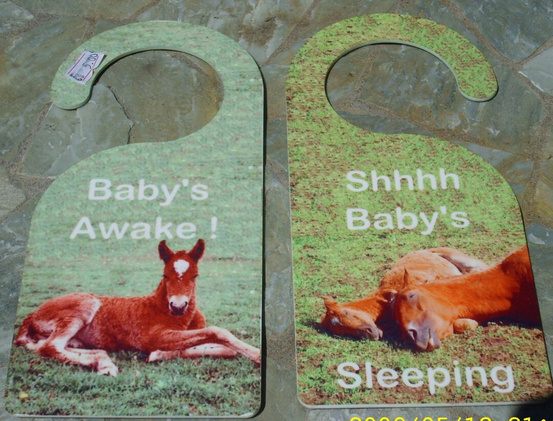 Shhhhhh Baby's Sleeping Hang Sign - Etsy
