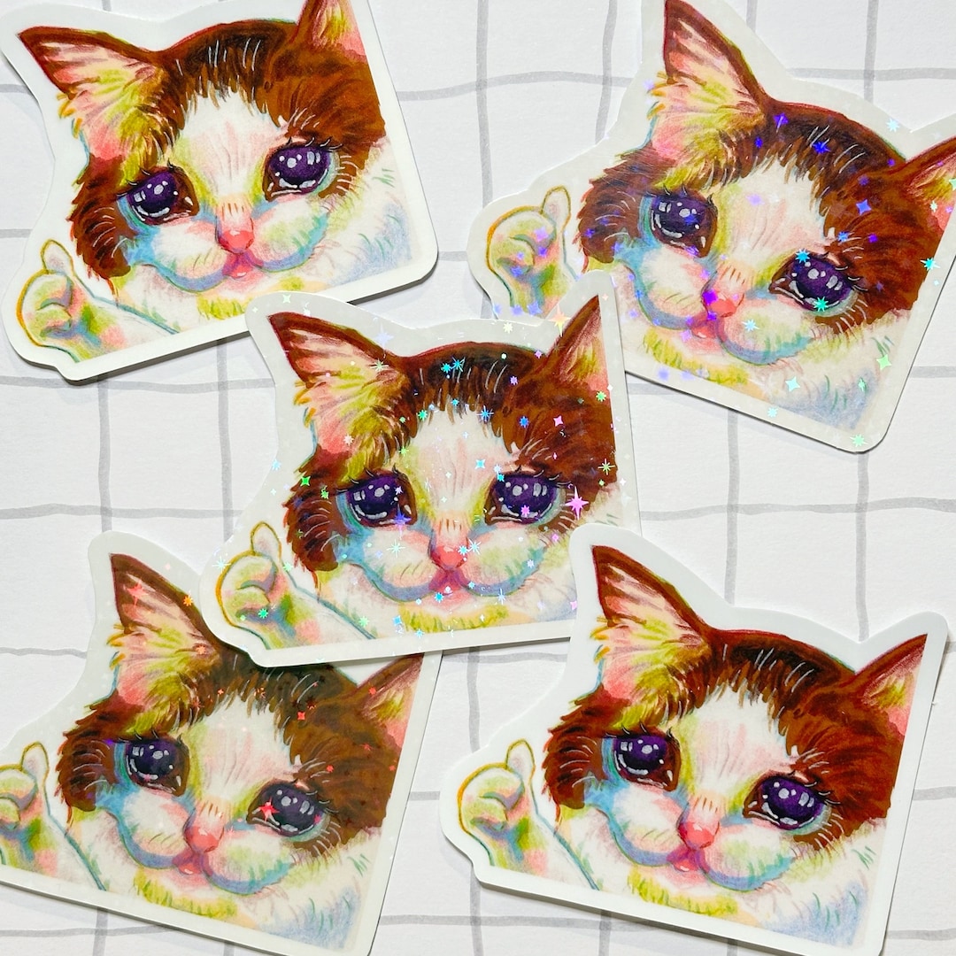 Crying Cat With Thumbs up Meme Vinyl Sticker | Holographic Sticker ...