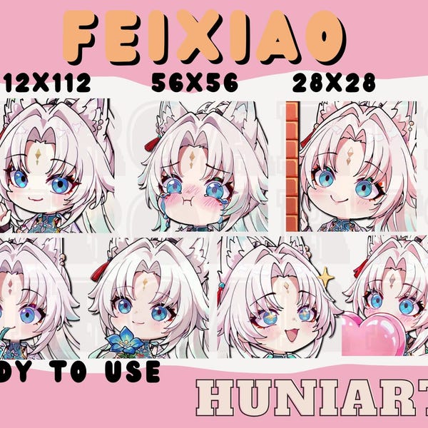 Hsr Feixiao - Etsy