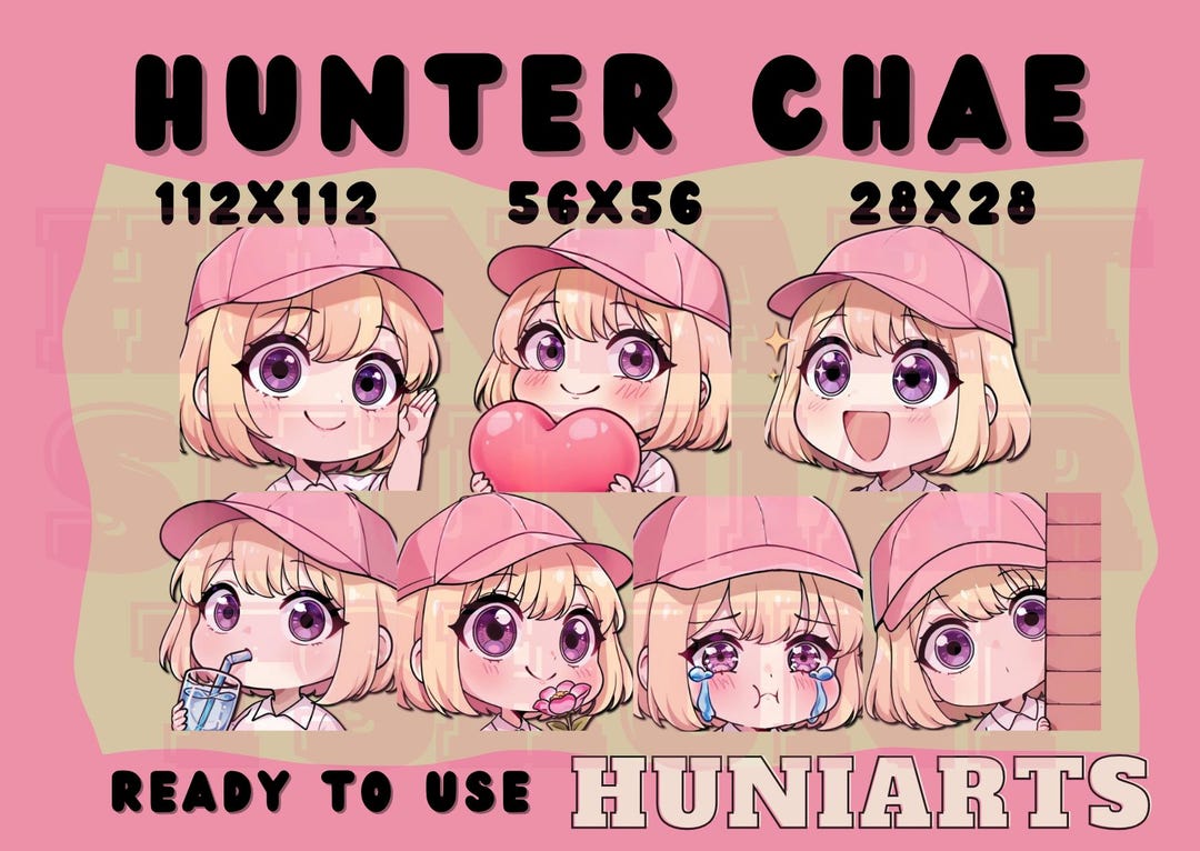Solo Hunter Cha Emotes, Level Hae-in Emotes, Hae in Emotes, Solo Level ...