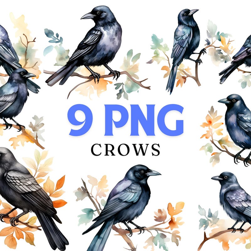 Crow Watercolor - Etsy
