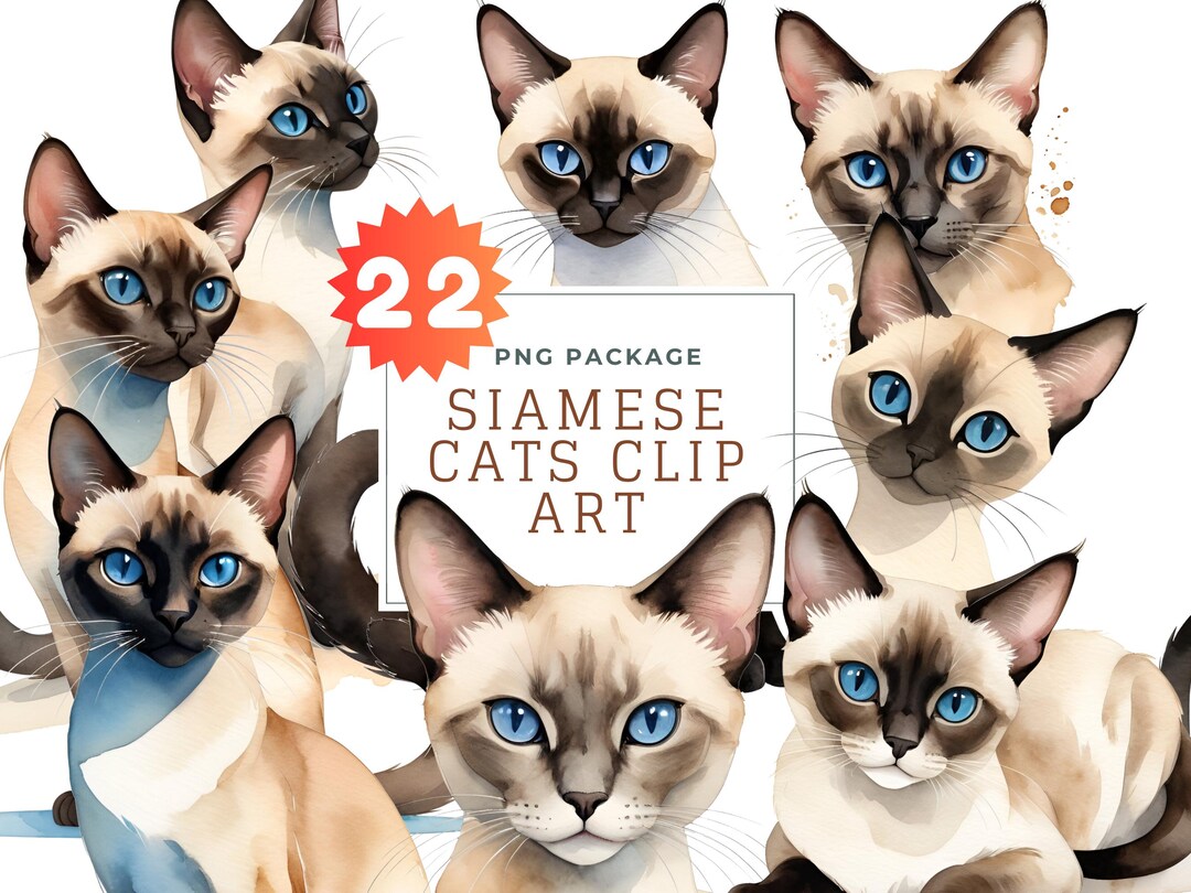 Siamese Cat Clipart 22 Watercolor Siamese Kittens PNGS, Printable ...