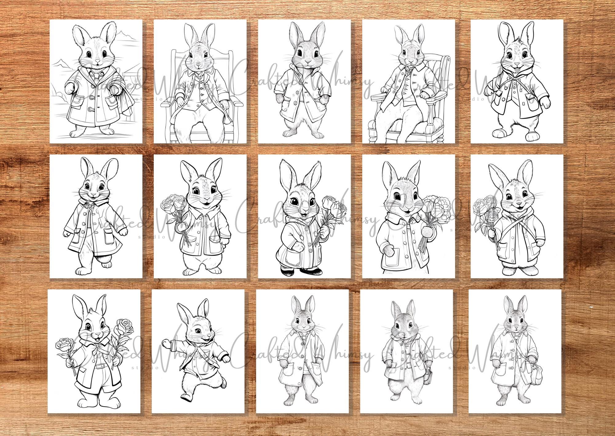 Peter Rabbit Coloring Pages – 24 Beatrix Potter Inspired Printable ...