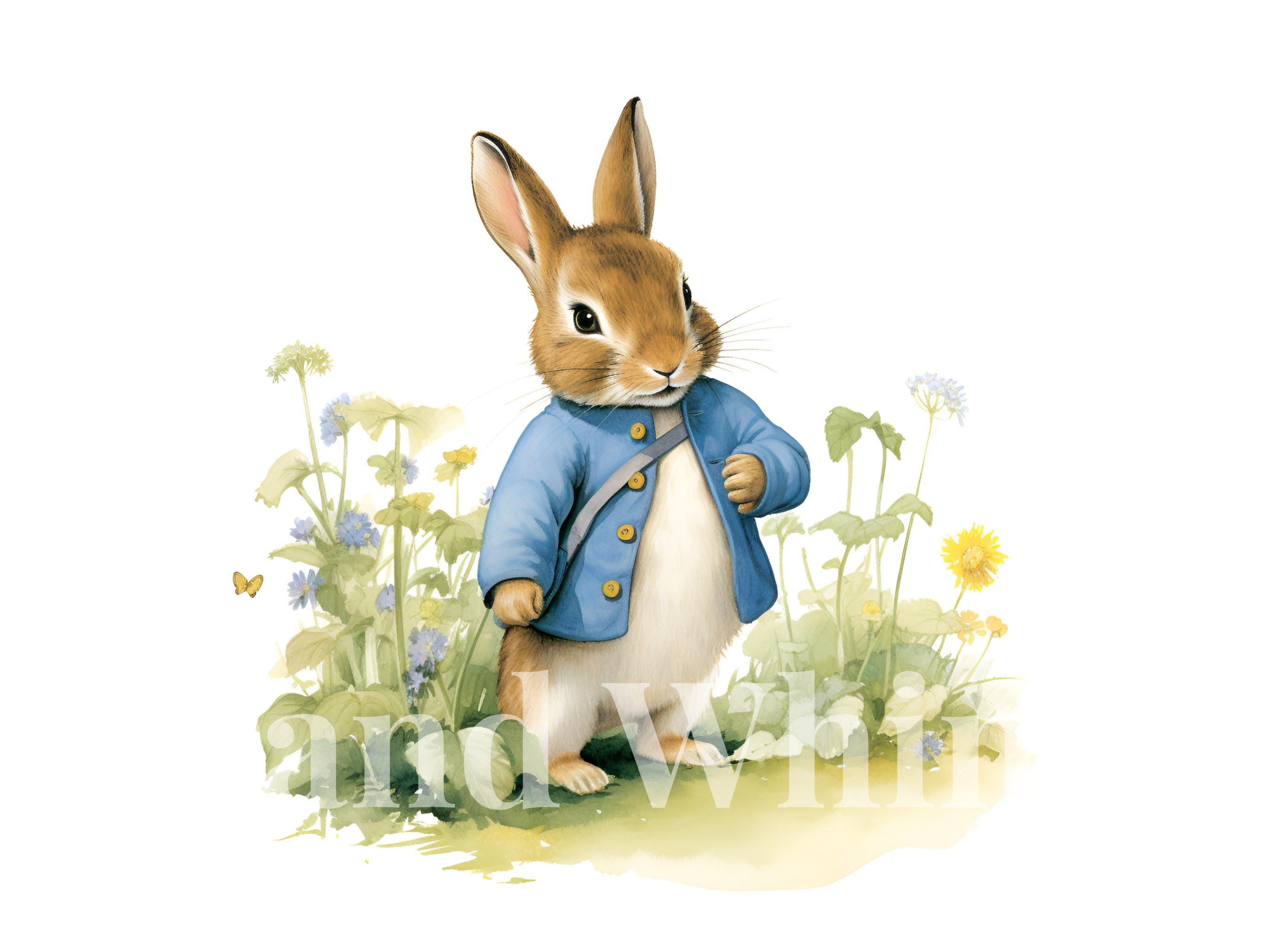 5 Beatrix Potter-inspired Peter Rabbit Digital Cliparts Watercolor ...