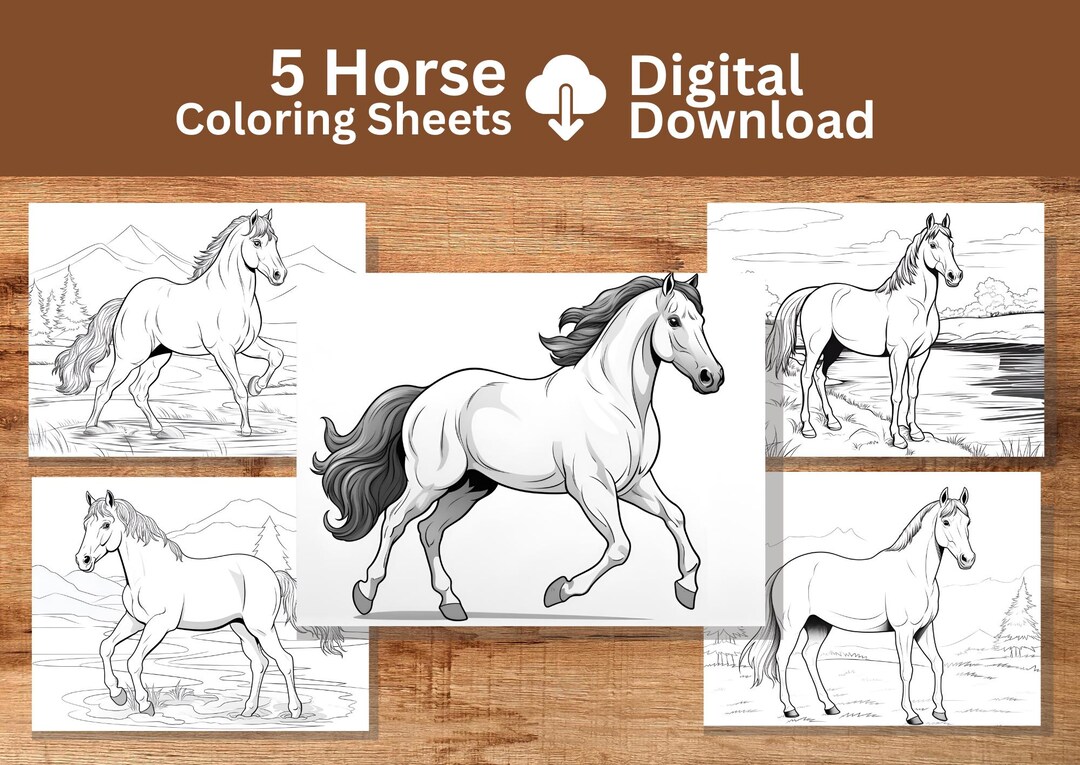 5 Printable Coloring Pages for Horses Coloring Fun (starter Pack ...
