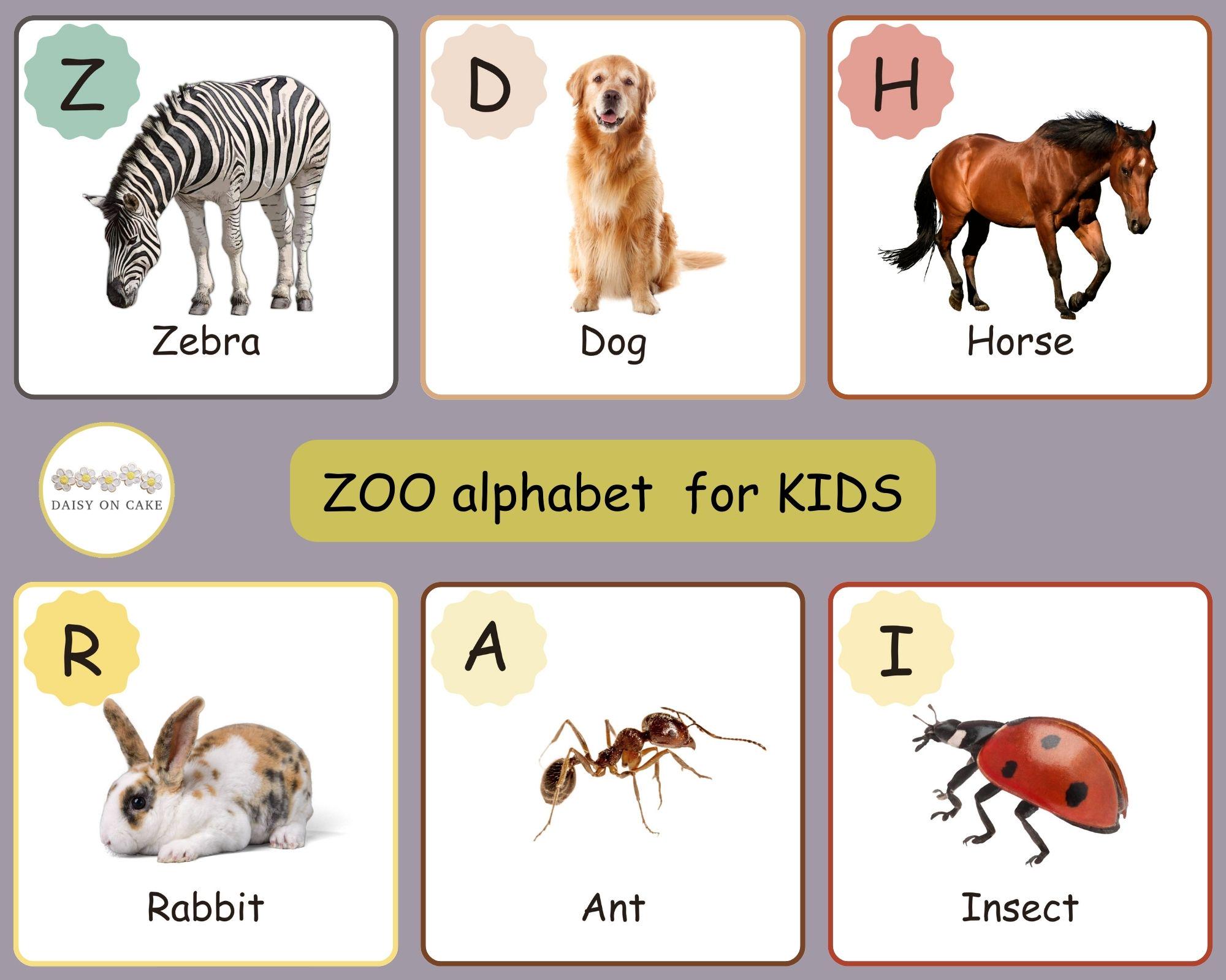 ZOO Alphabet for Kids – Fun Animal ABC Learning Book, Educational ...