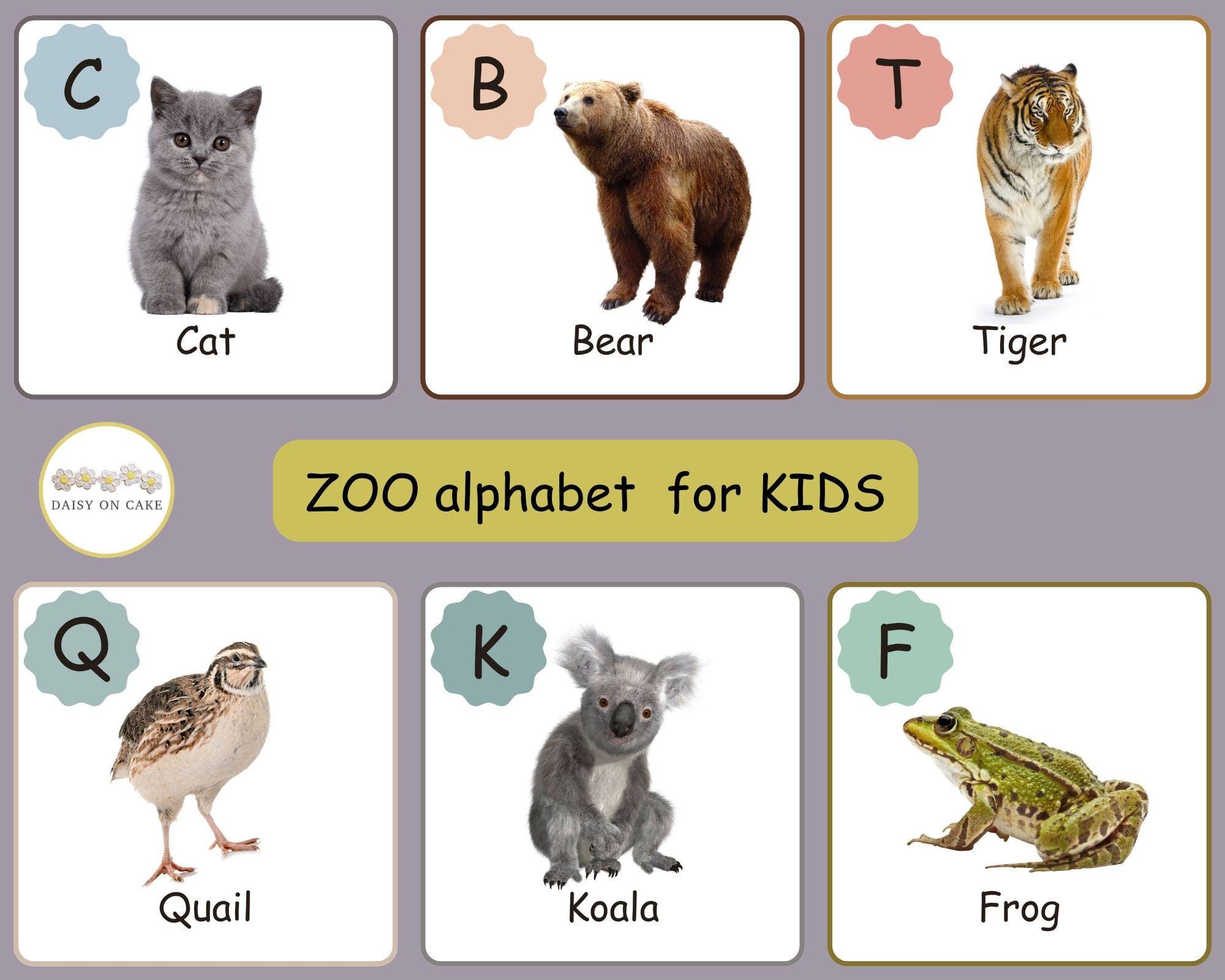 ZOO Alphabet for Kids – Fun Animal ABC Learning Book, Educational ...