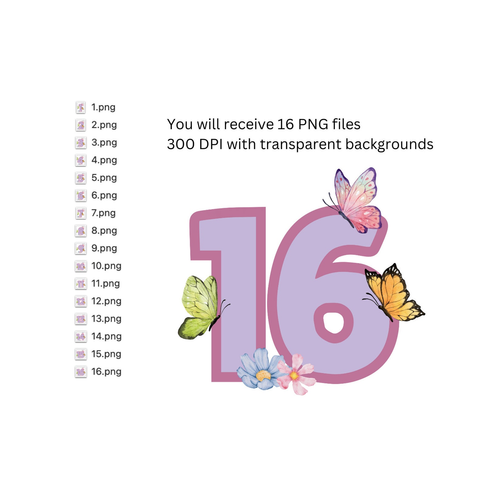 Butterfly Numbers PNG Sublimation Files, Flower Birthday Number 1-16 ...