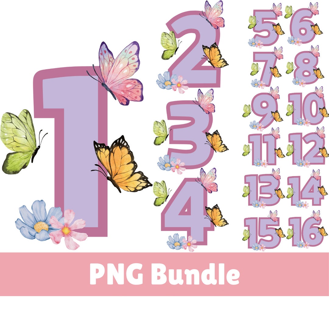 Butterfly Birthday Numbers 1-16 PNG Clipart (digital Download) - Etsy