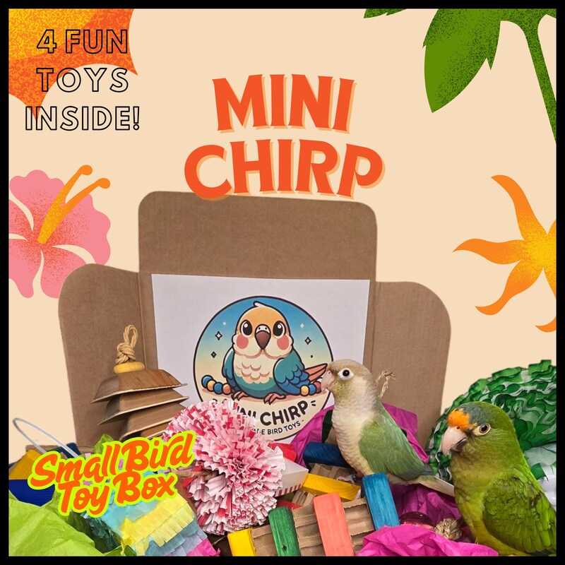 Tiny Birds - Etsy