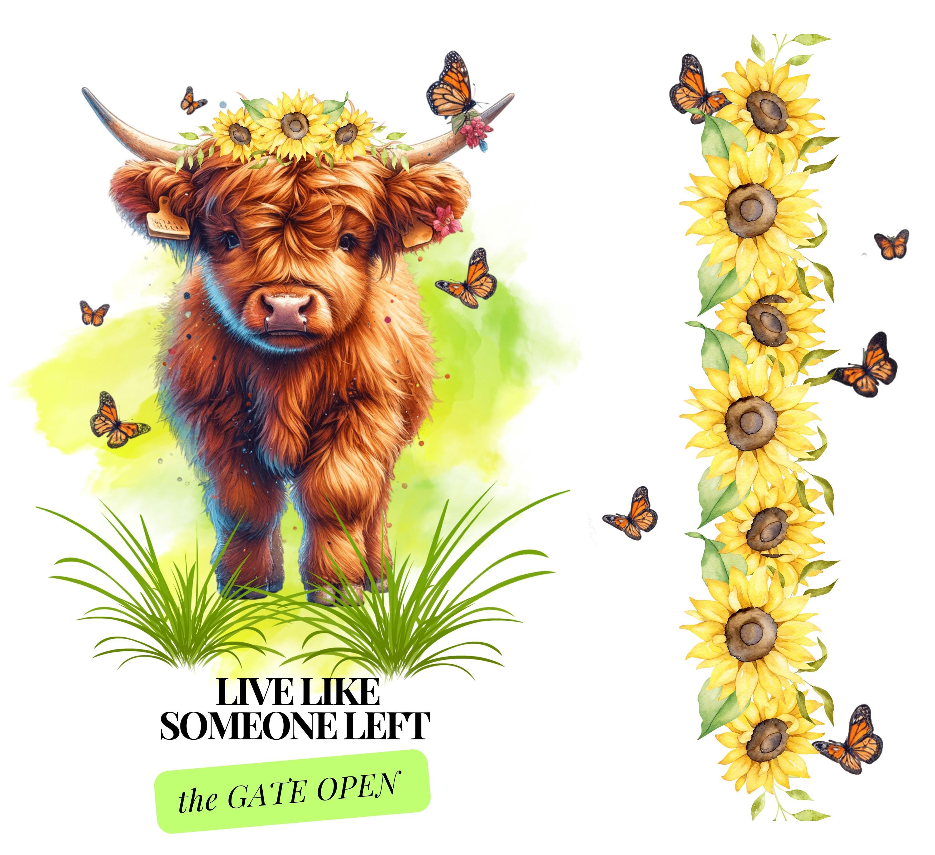Highland Cow, Be Free, Feel Good Meme, Gate Open, Meme About Cows ...