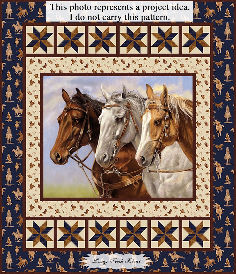 Riley Blake "ride THE Range", Pd12747-three-72, Fabric Panel 36"x43" - Etsy