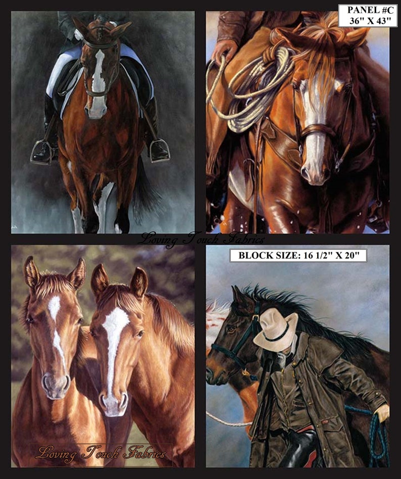 Riley Blake Horsin' Around Western Cowboy | Etsy