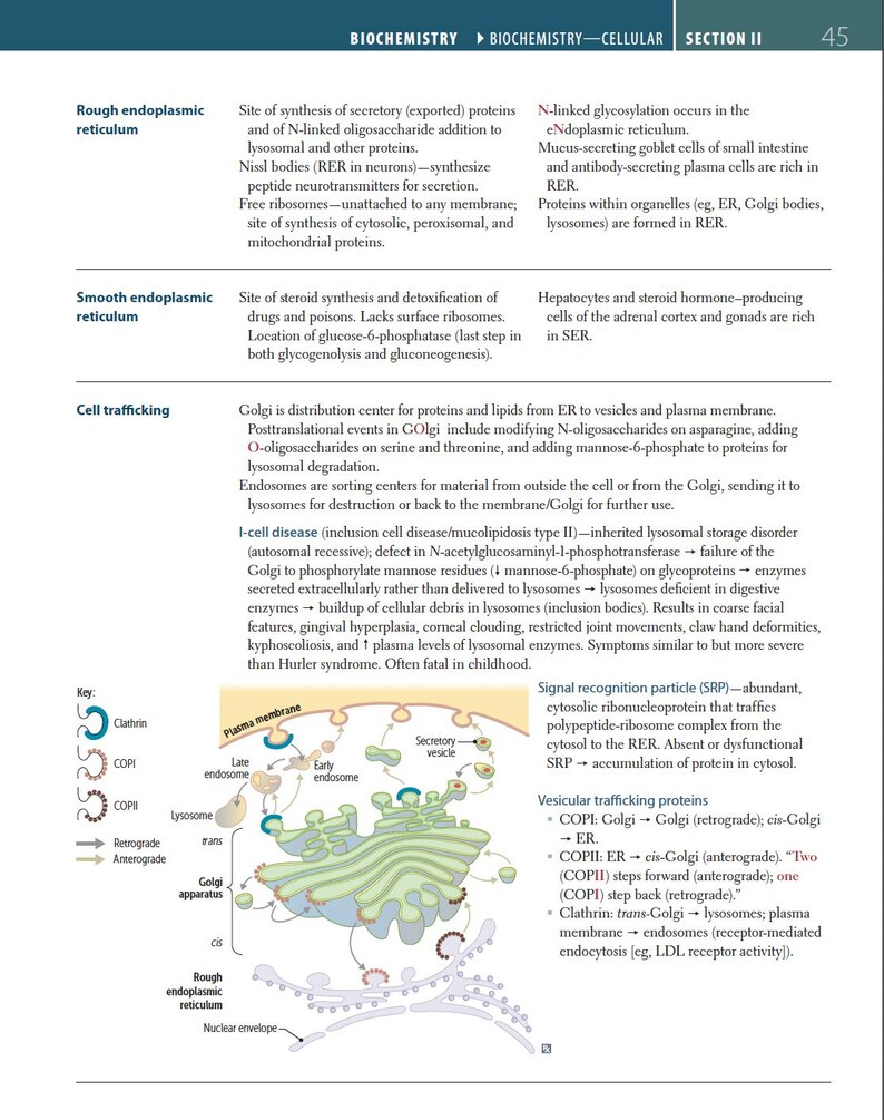First Aid for the USMLE Step 1 2024 Comprehensive Medical Exam Prep PDF ...