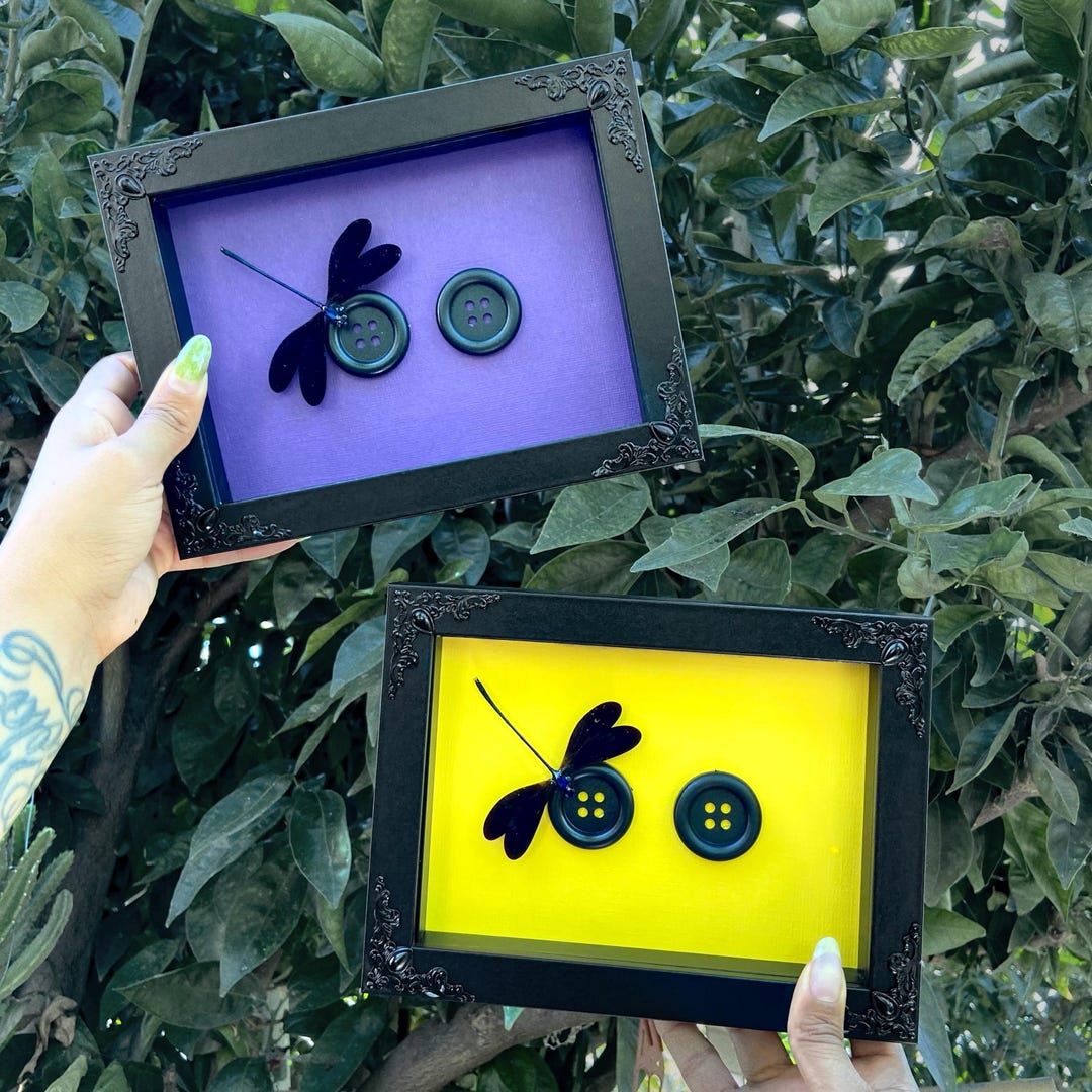Button Eyes Coraline Inspired Real Damselfly Frame - Etsy