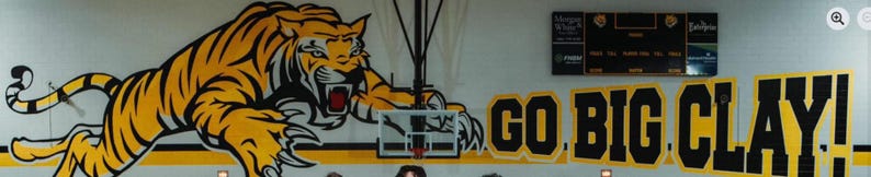 Clay Co Tigers Pawprint Gold - PNG Design - Etsy