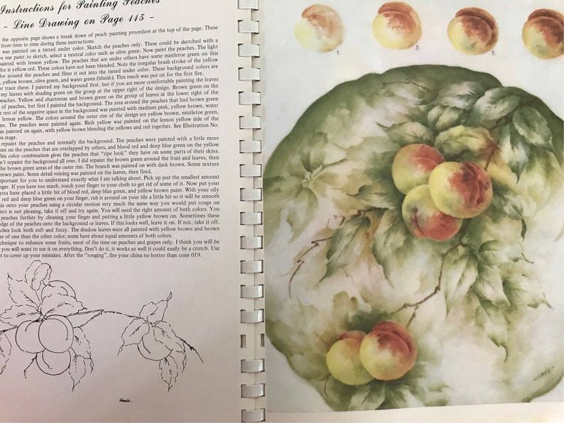 Pass Me Another Plate, Wanda Clapham, China Painting Instruction Books ...