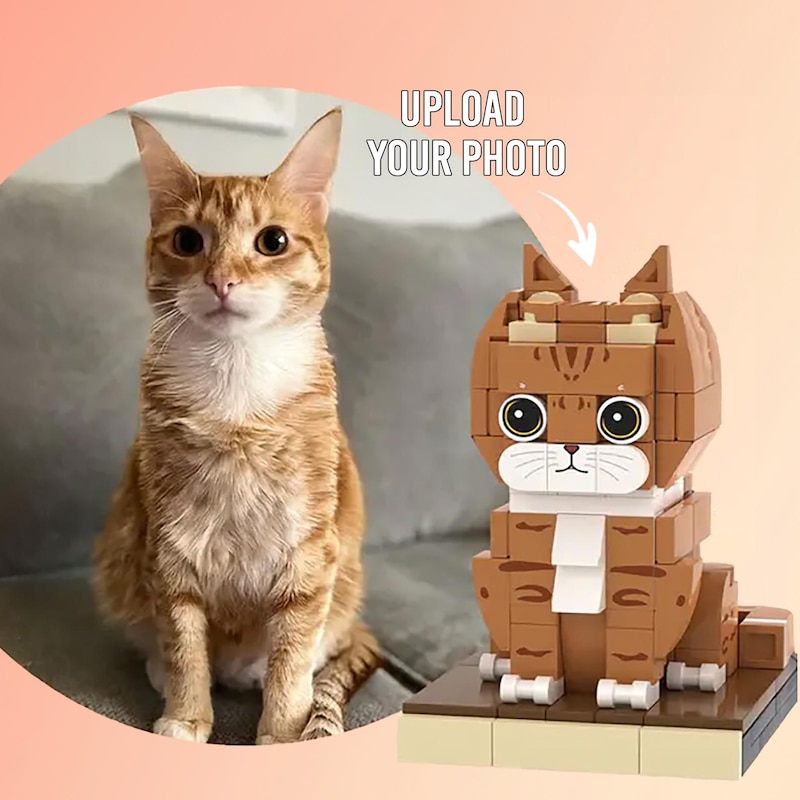Personalized Cat Legos - Etsy