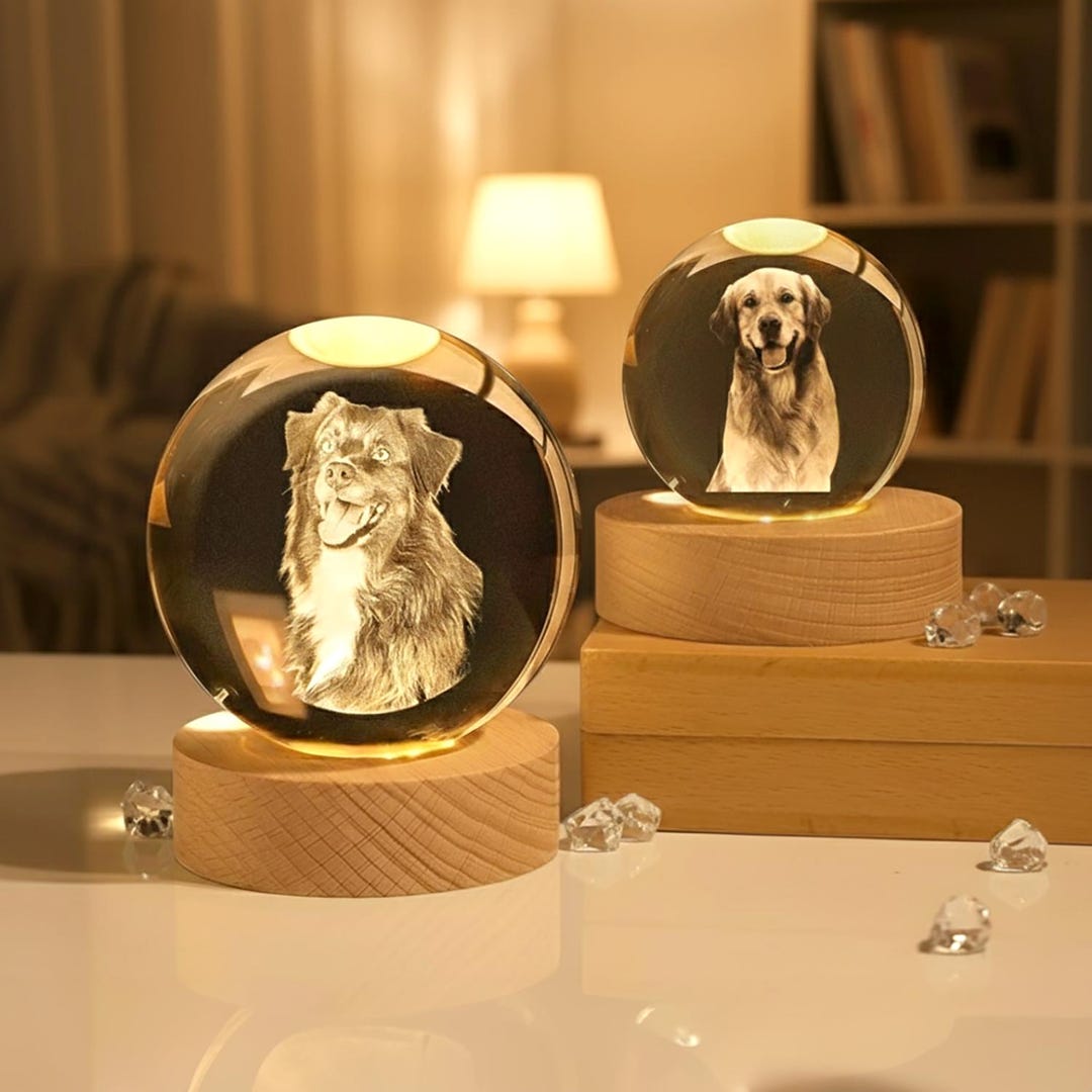 Personalized Crystal Ball Night Light: Engraved Pet Portrait, 3D Photo ...