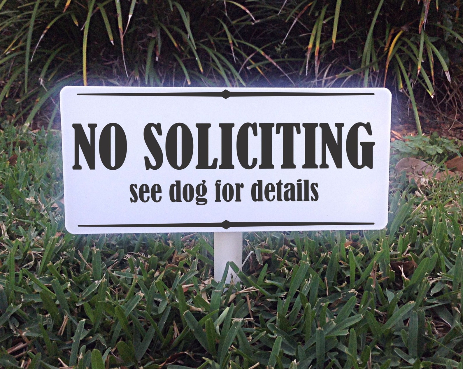 No Soliciting See Dog for Details No Soliciting Sign, Beware of Dog ...