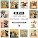 Funny Dog and Cat Postage Stamp Clipart: Pet PNG Bundle , Commercial ...
