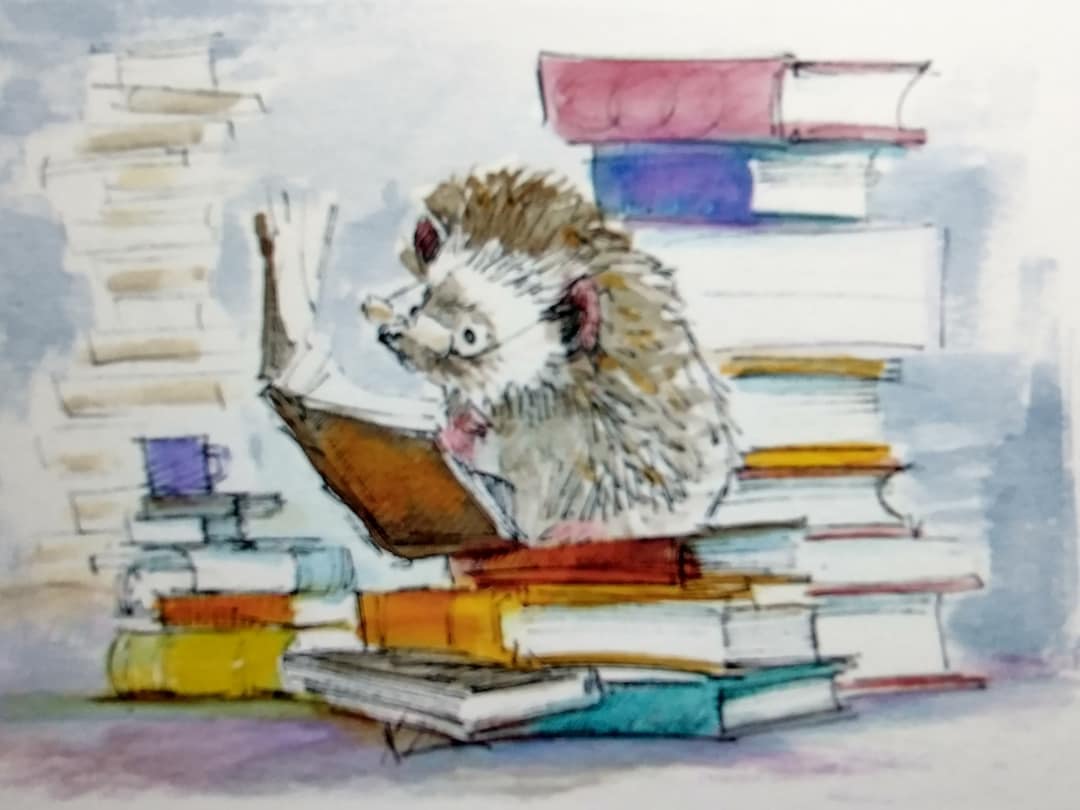 Hedgehog Reading a Book - Etsy