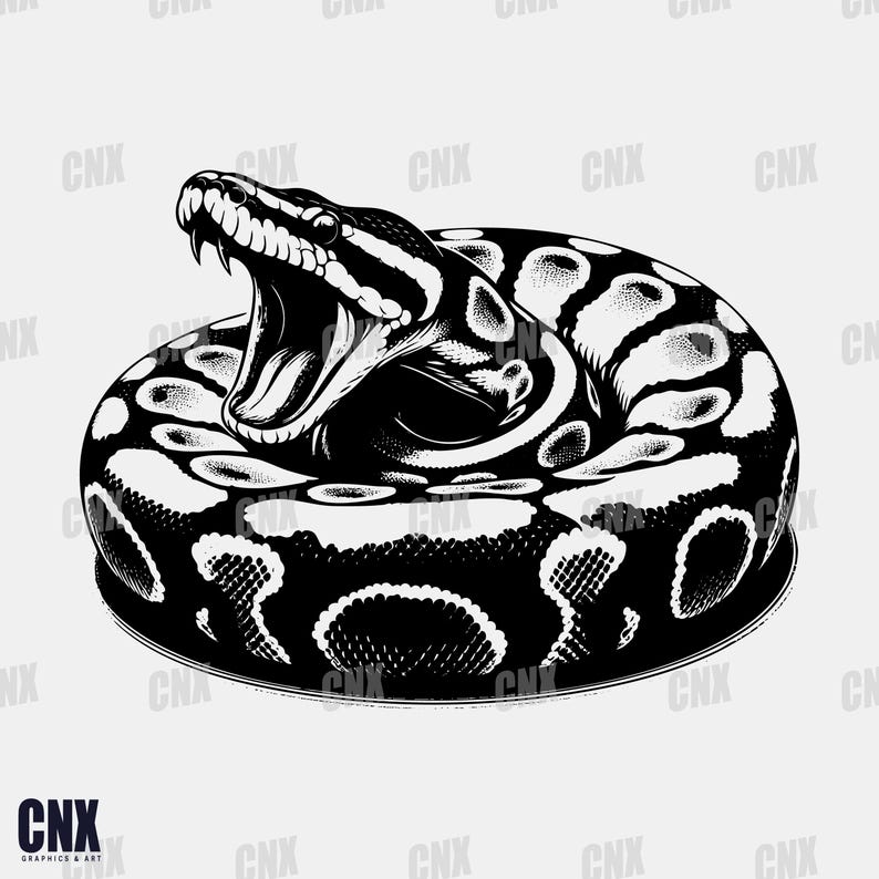 8 Ball Python Svg. Bundle Ball Python Svg. Snake Svg. Reptile. Boa ...