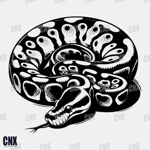 8 Ball Python Svg. Bundle Ball Python Svg. Snake Svg. Reptile. Boa ...