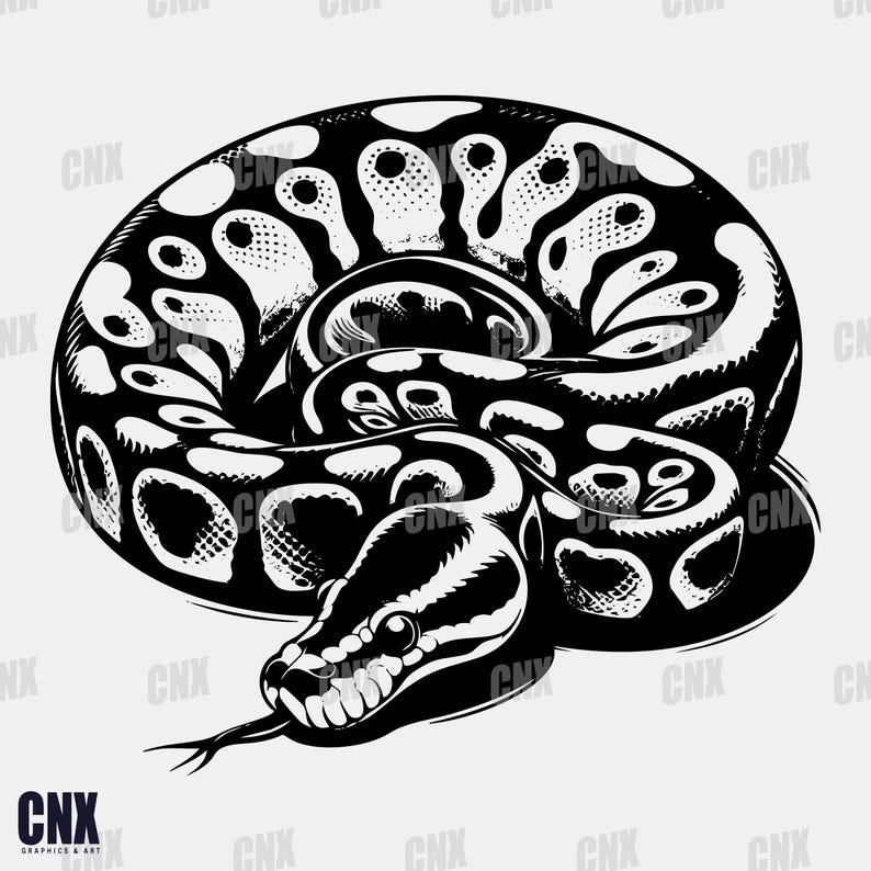 8 Ball Python Svg. Bundle Ball Python Svg. Snake Svg. Reptile. Boa ...