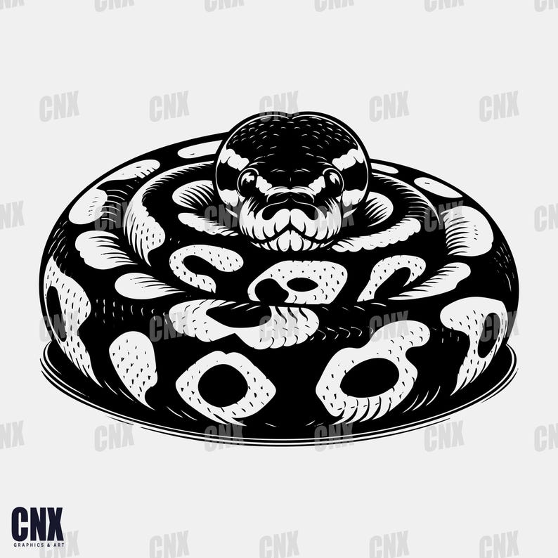 8 Ball Python Svg. Bundle Ball Python Svg. Snake Svg. Reptile. Boa ...