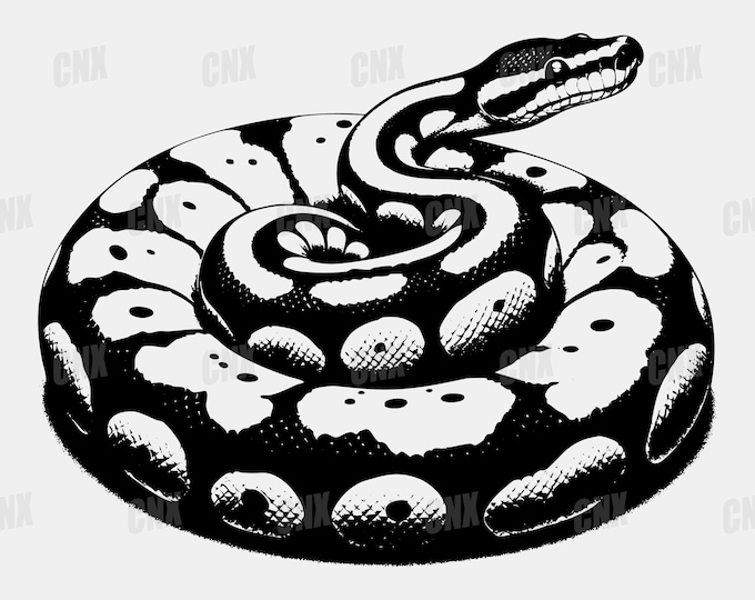 7 Ball Python Svg. Bundle Ball Python Svg. Snake Svg. Reptile. Boa ...