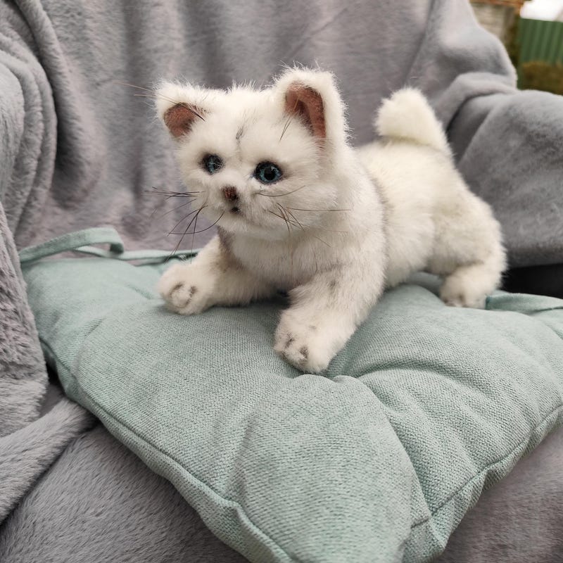 Realistic Black Kitten Plush - Etsy