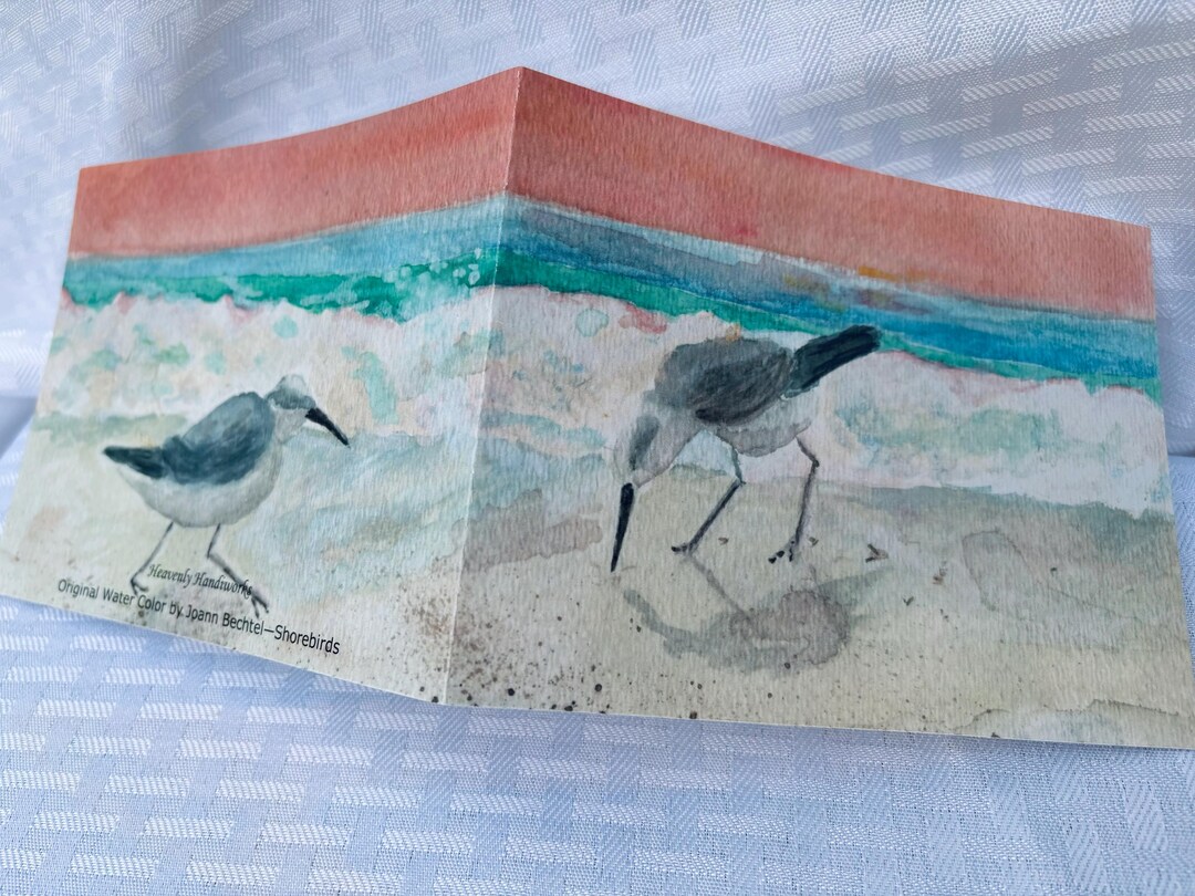 Shorebirds. 6 Watercolor Print Notecard With Transparent Env - Etsy