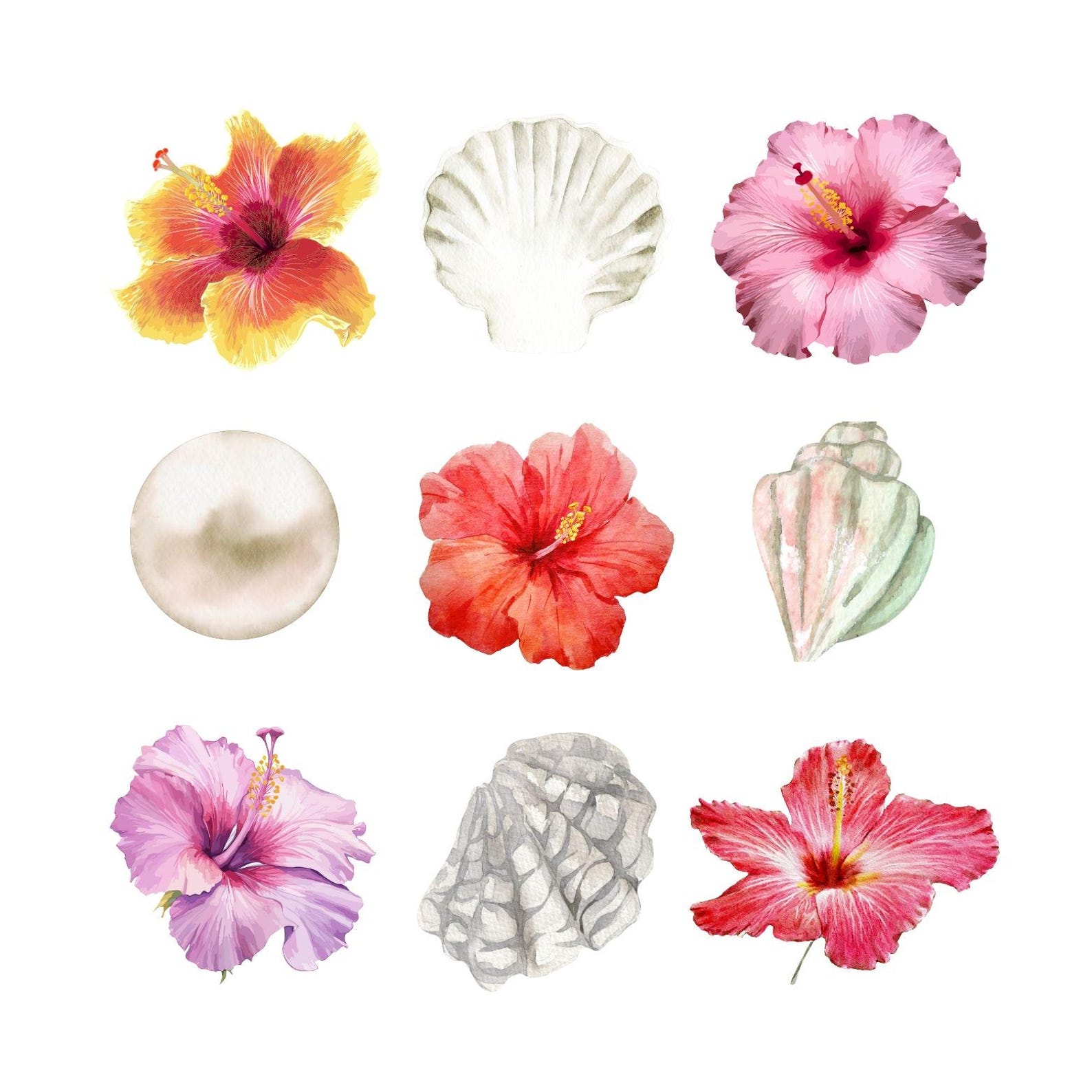 Tropical Wallpaper - Wall Art - Hibiscus and Shells - Etsy